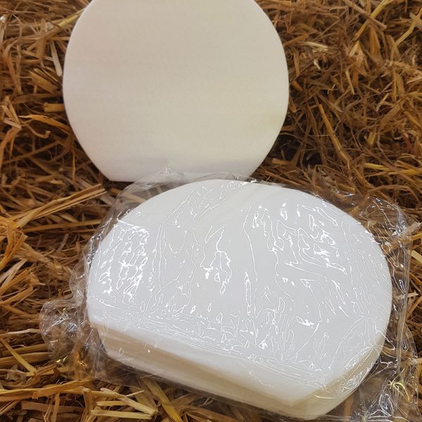 Polyester Pads – The Shoeing Lab